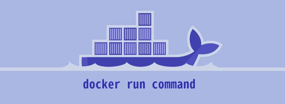 ¿Cómo usar el comando Docker Run con ejemplos? | Portal+Tips